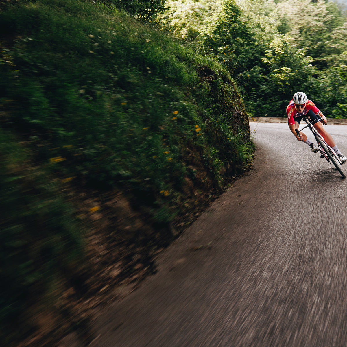 Specialized Tarmac SL8 — guide to the collection (racing road) – Cicli ...